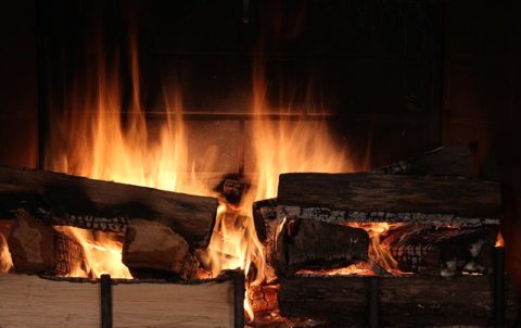 What Kind of Wood is Good to Burn in Your Stove or Fireplace?